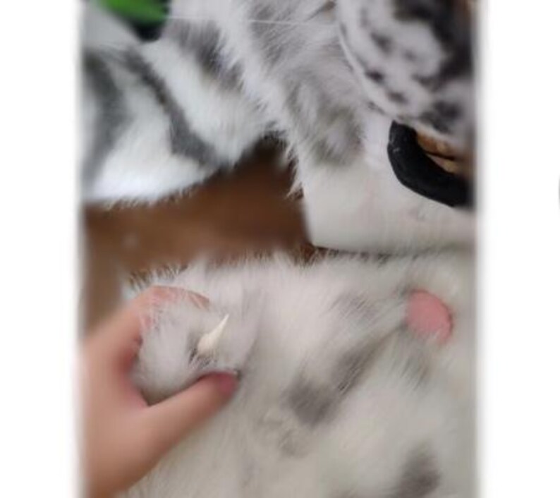 Realistic White Tiger Furry Head, Furry Pre-made Fur Mask, Furry ...