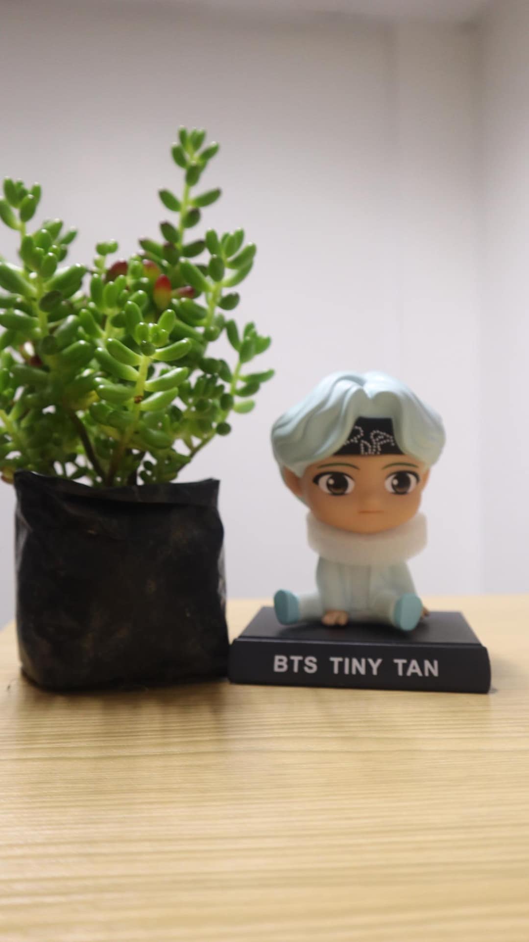 Tinytan Merchandise K-pop BTS Mini Dolls Set - Etsy