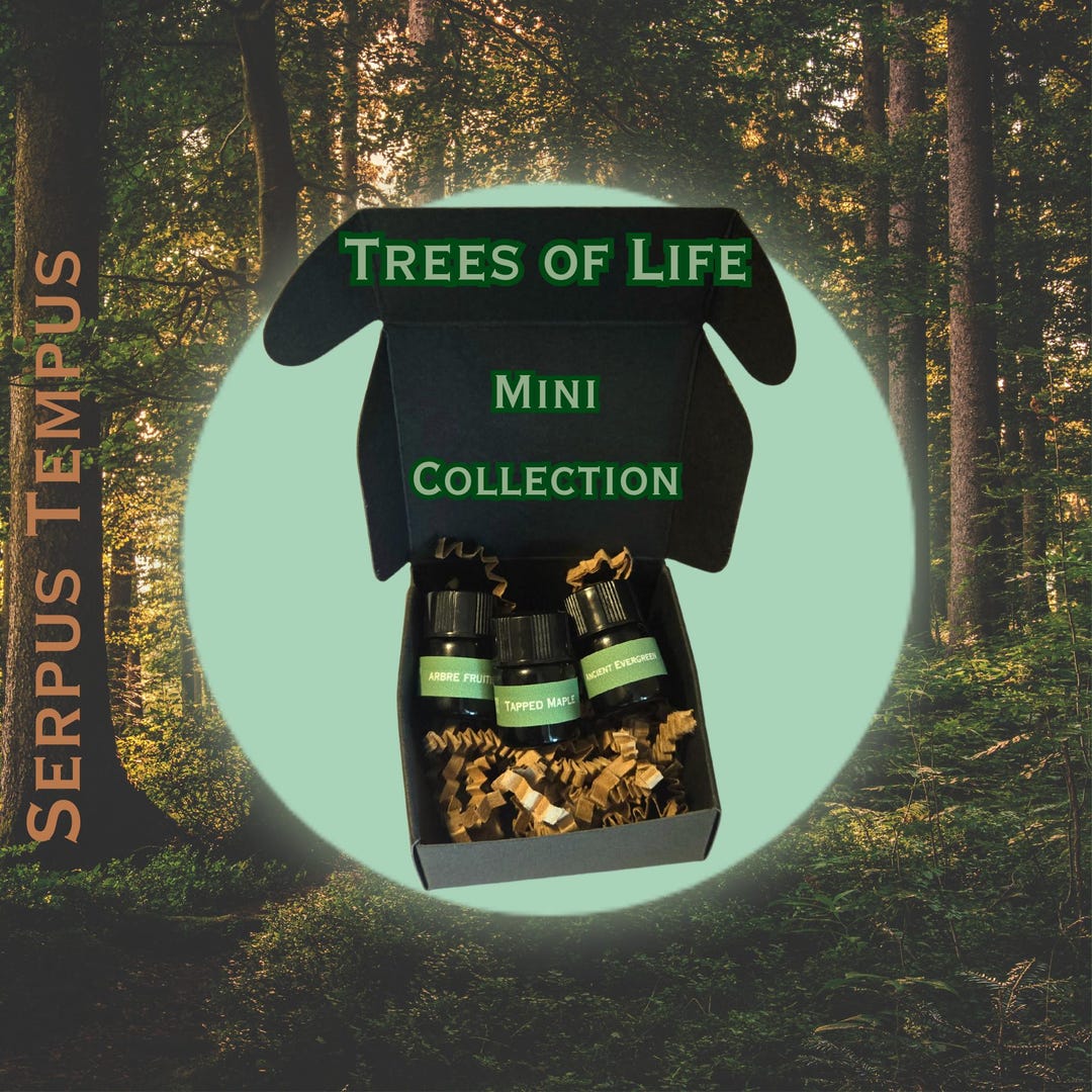 Trees of Life Mini Collection | Perfume Oil | 2ml | Tapped Maple ...