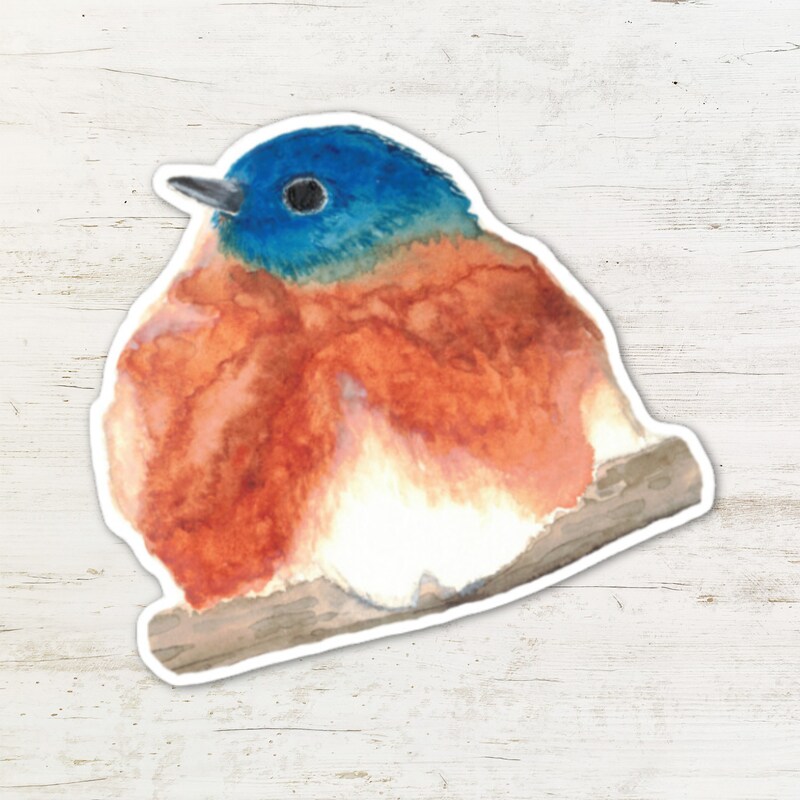 Bluebird Stickers - Etsy