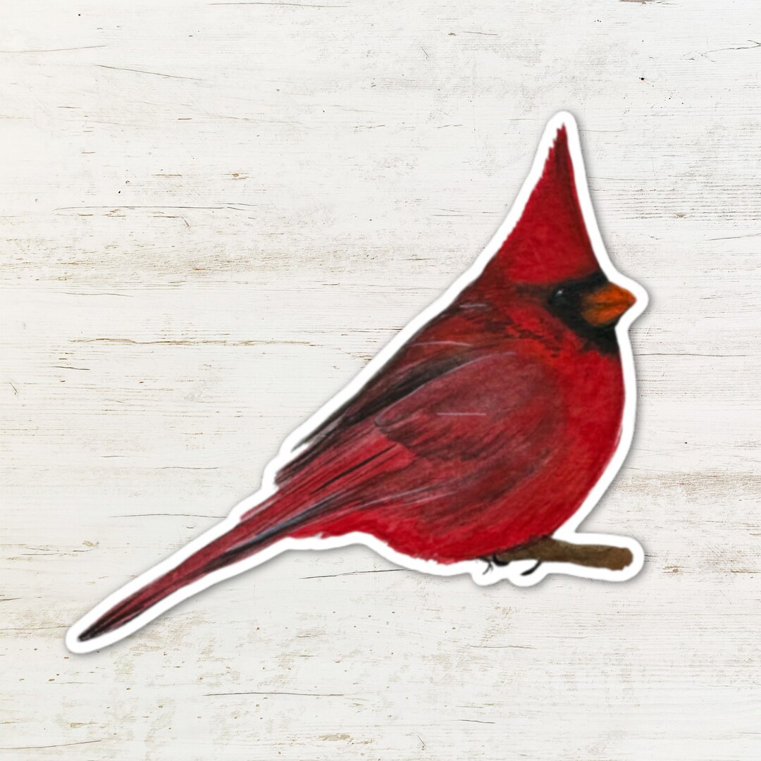 Red Cardinal Sticker Watercolor Red Bird Suitcase Decal Birdwatching ...