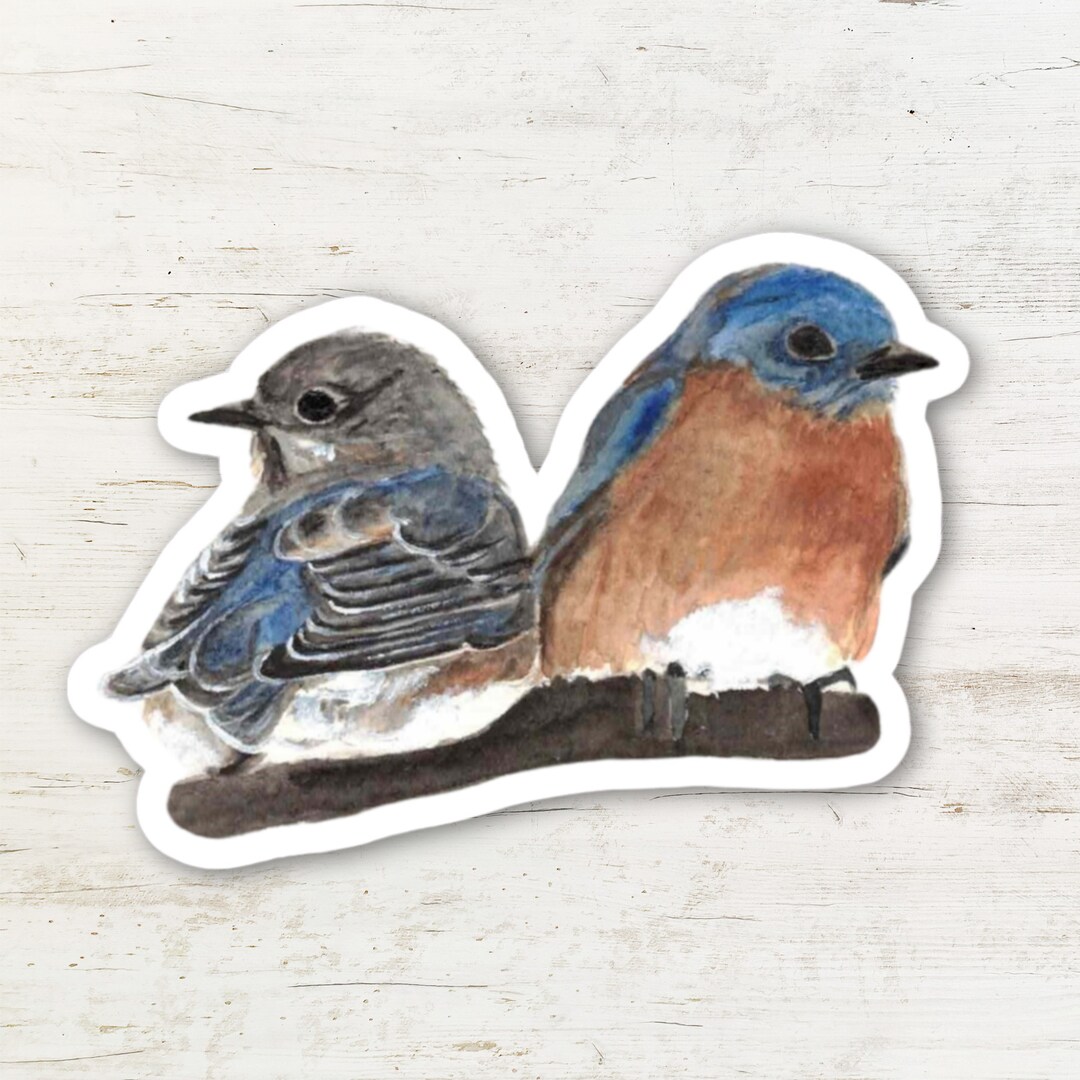 Bluebird Pair Sticker, Backyard Bird Decal, Bird Nerd, Bird Lover ...