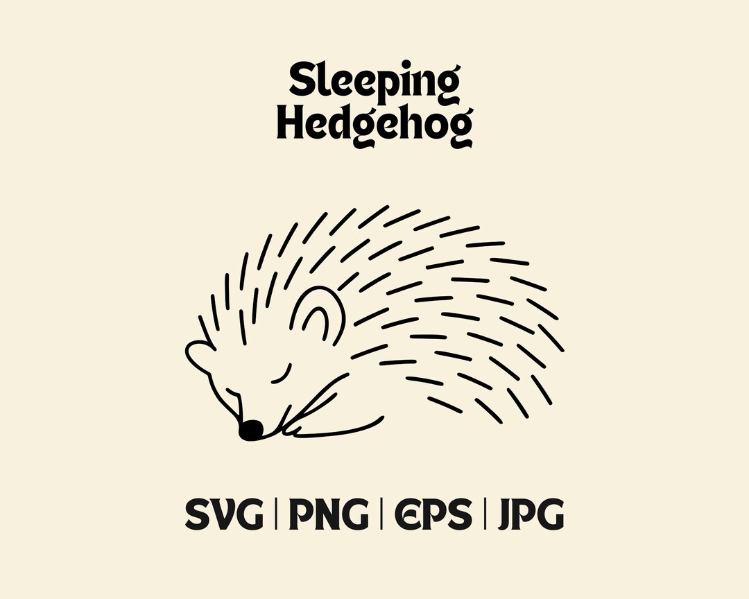 Hérisson endormi SVG PNG EPS – Dessin au trait simple en gras - Etsy France
