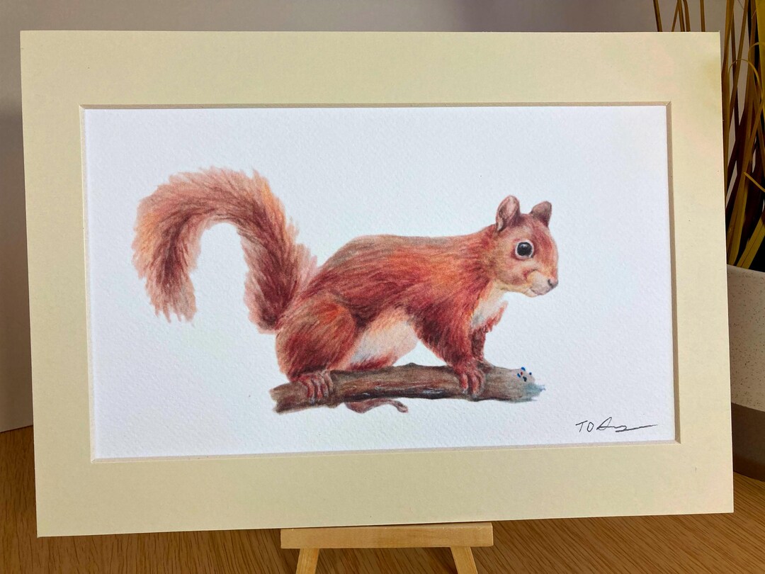 Red Squirrel Art Print, Watercolour Wildlife Animal Painting Mounted Wall Art, Woodland Nature ...