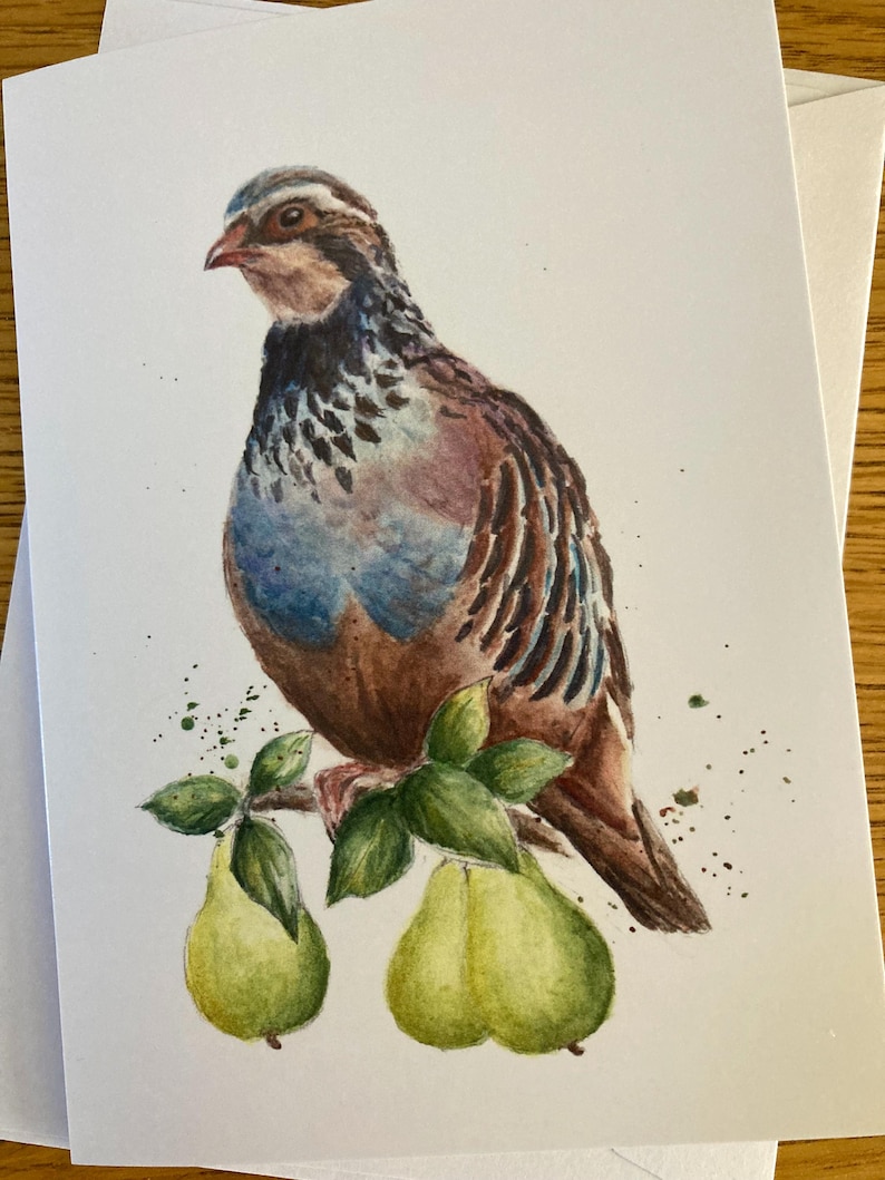 Partridge in a Pear Tree Greetings Card, Bird Christmas Card Wildlife ...