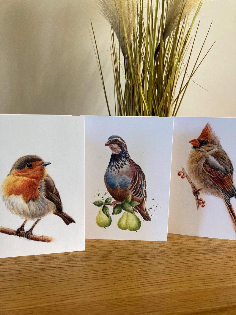 Partridge in a Pear Tree Greetings Card, Bird Christmas Card Wildlife ...