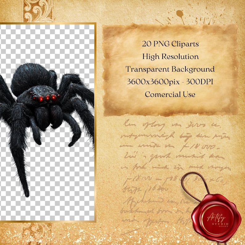 Fantasy Spiders Clipart – 20 Mystical and Menacing Spiders for Your ...