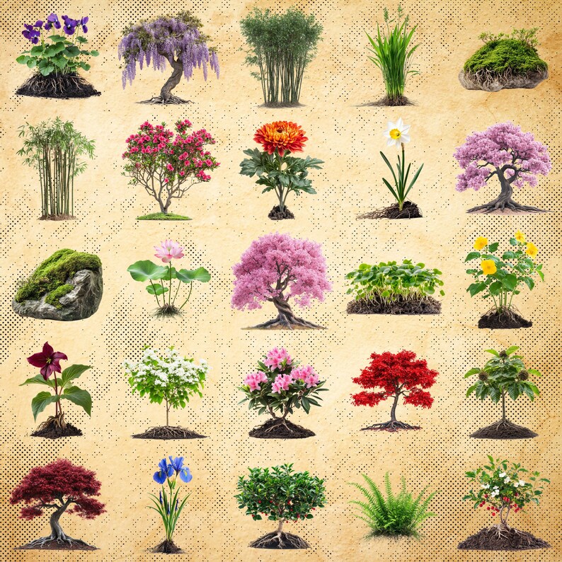 Japanese Vegetation – 50 High-quality Plants and Trees From Japan ...
