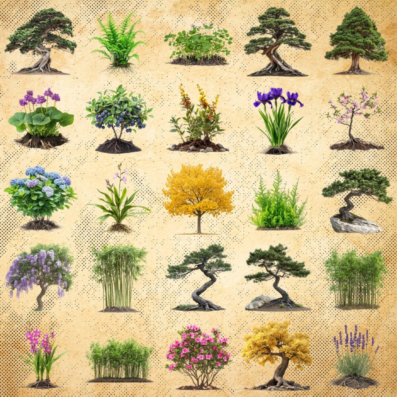 Japanese Vegetation – 50 High-quality Plants and Trees From Japan ...