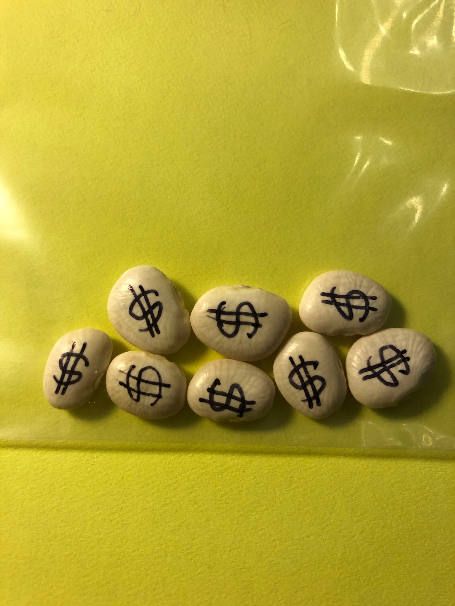 Money Tree Seeds Gag Gift - Etsy Australia