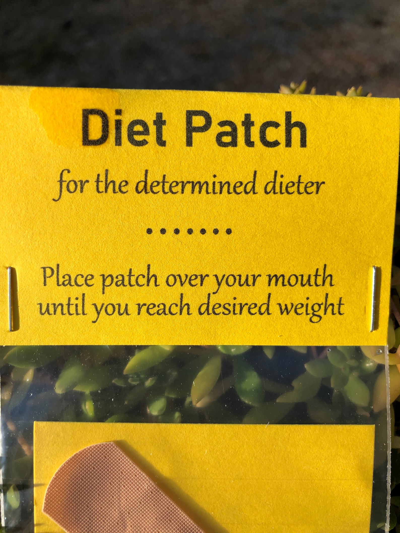 Diet Patch Gag Gift - Etsy