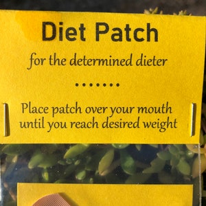 Diet Patch Gag Gift - Etsy