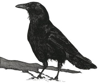 Ink Drawing Print | Etsy