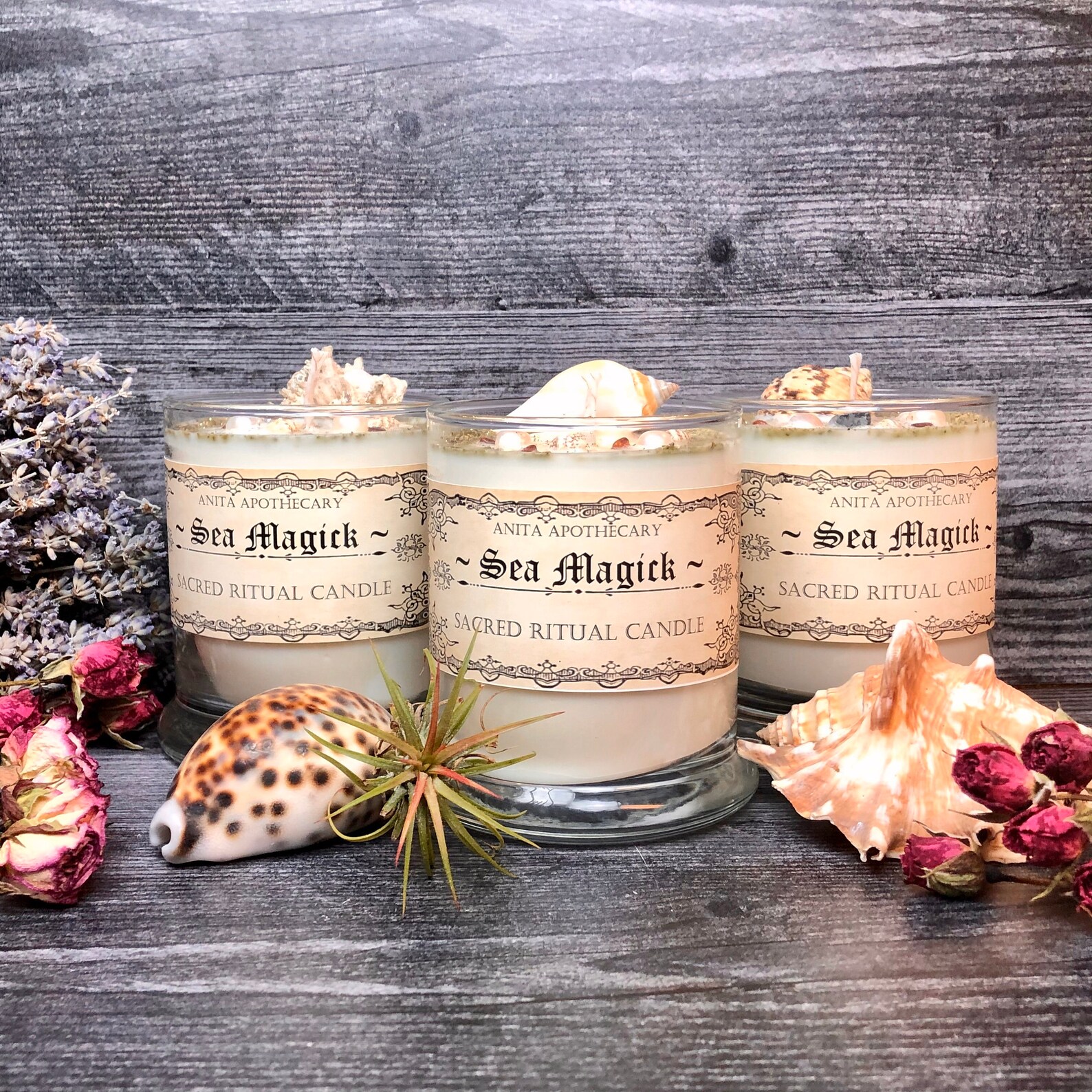 Sea Magick Ritual Candle Witchcraft Sea Shell Moonstone - Etsy