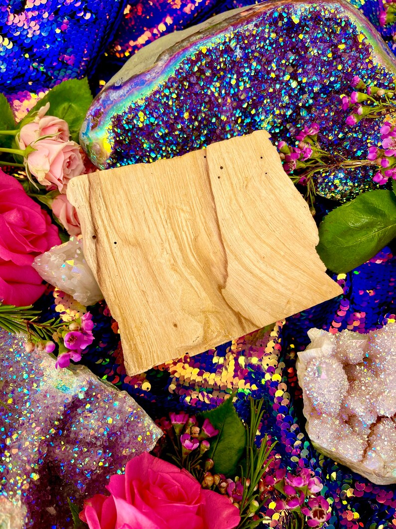 XL Palo Santo Palo Santo Wood Holy Wood Wood Incense Wood - Etsy