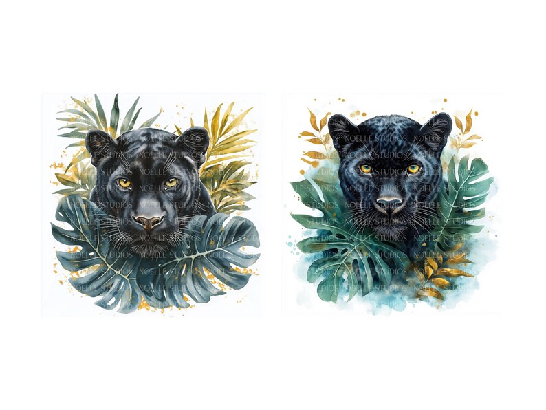 Black Panther Watercolor Clipart Bundle: Jungle Cat Art (JPG, PNG ...