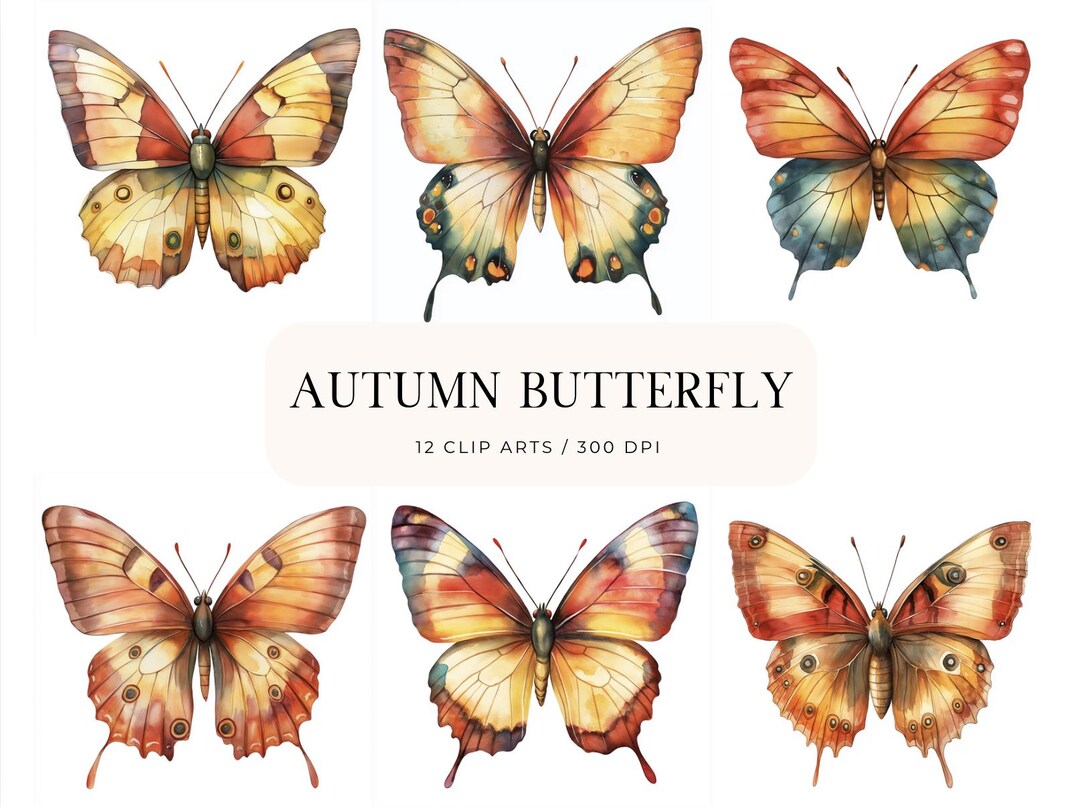 Watercolor Autumn Butterfly Clipart: Fall Insect Graphics (JPG Digital ...
