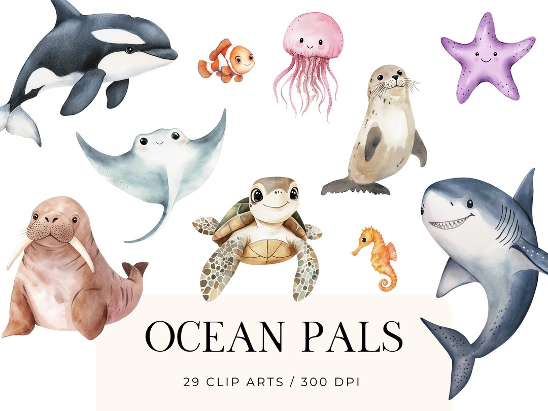 Cute Watercolor Baby Sea Animals Clipart Set - Watercolor Cute Ocean ...