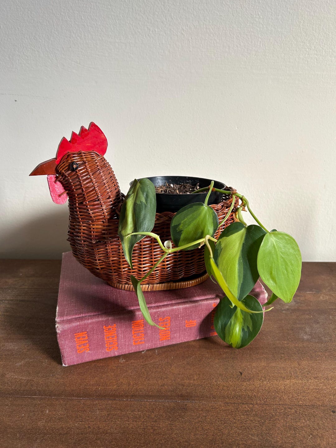 Vintage Chicken Wicker Farmhouse Country Planter Rattan Basket Plant ...