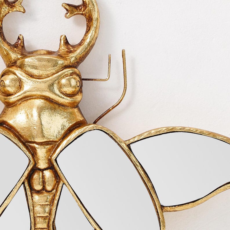 Beetle and Other Animals Mirrors Bird Mirror Grasshopper Mirror Bee ...