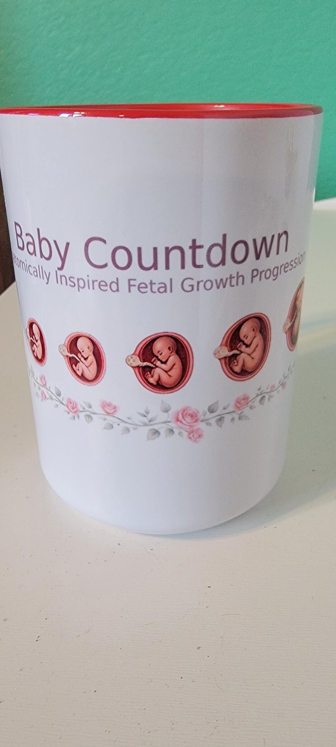 Baby by Month Pregnancy Mug, Baby Growth Illustration Coffee Mug ...