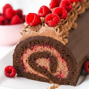 Raspberry Chocolate Cake Roll Recipe | Elegant Dessert Idea | Digital ...