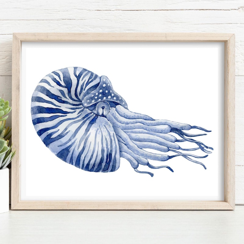Nautilus Art - Etsy