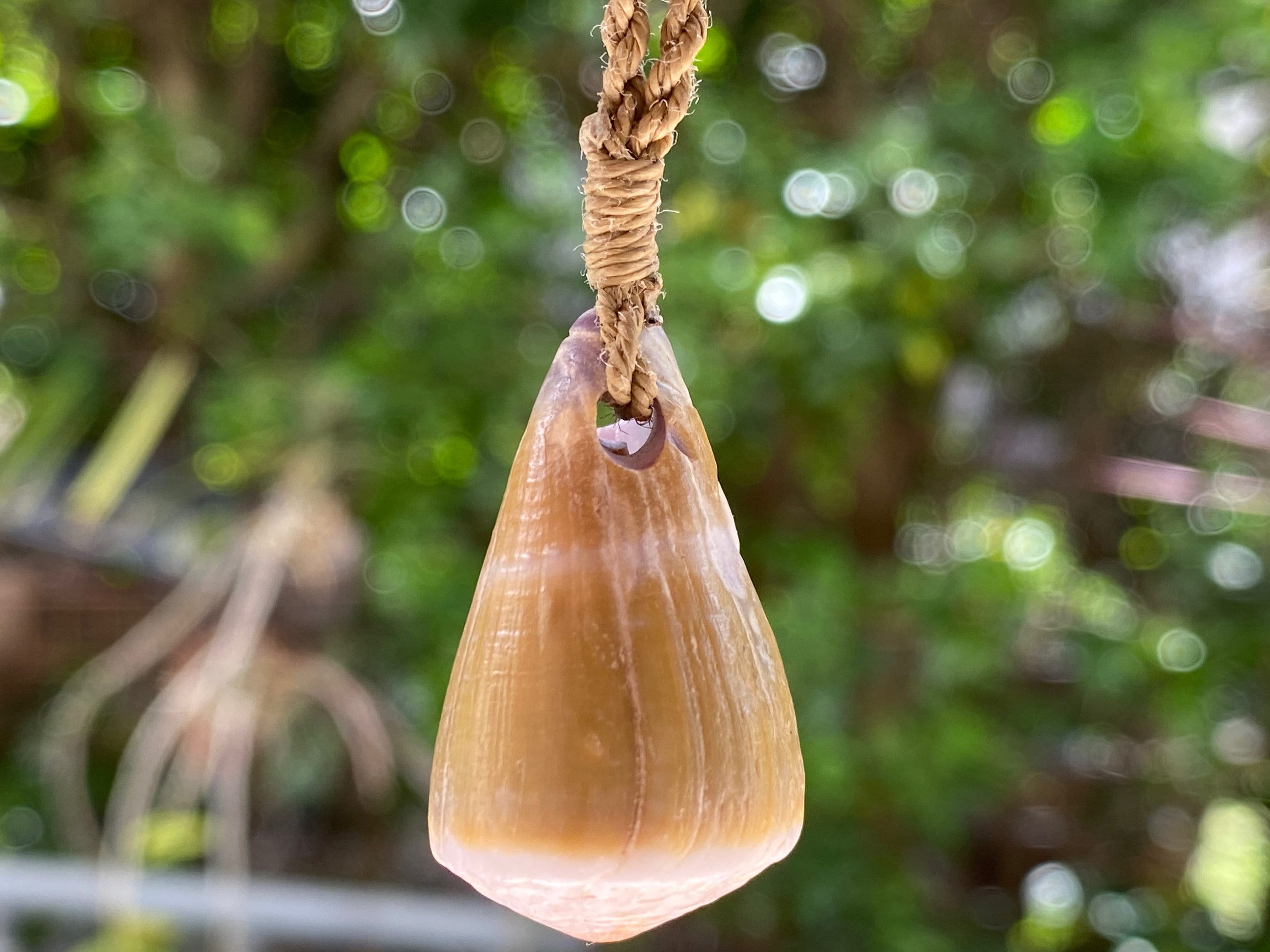 Surfer's Choice - Cone Shell Necklace - Etsy