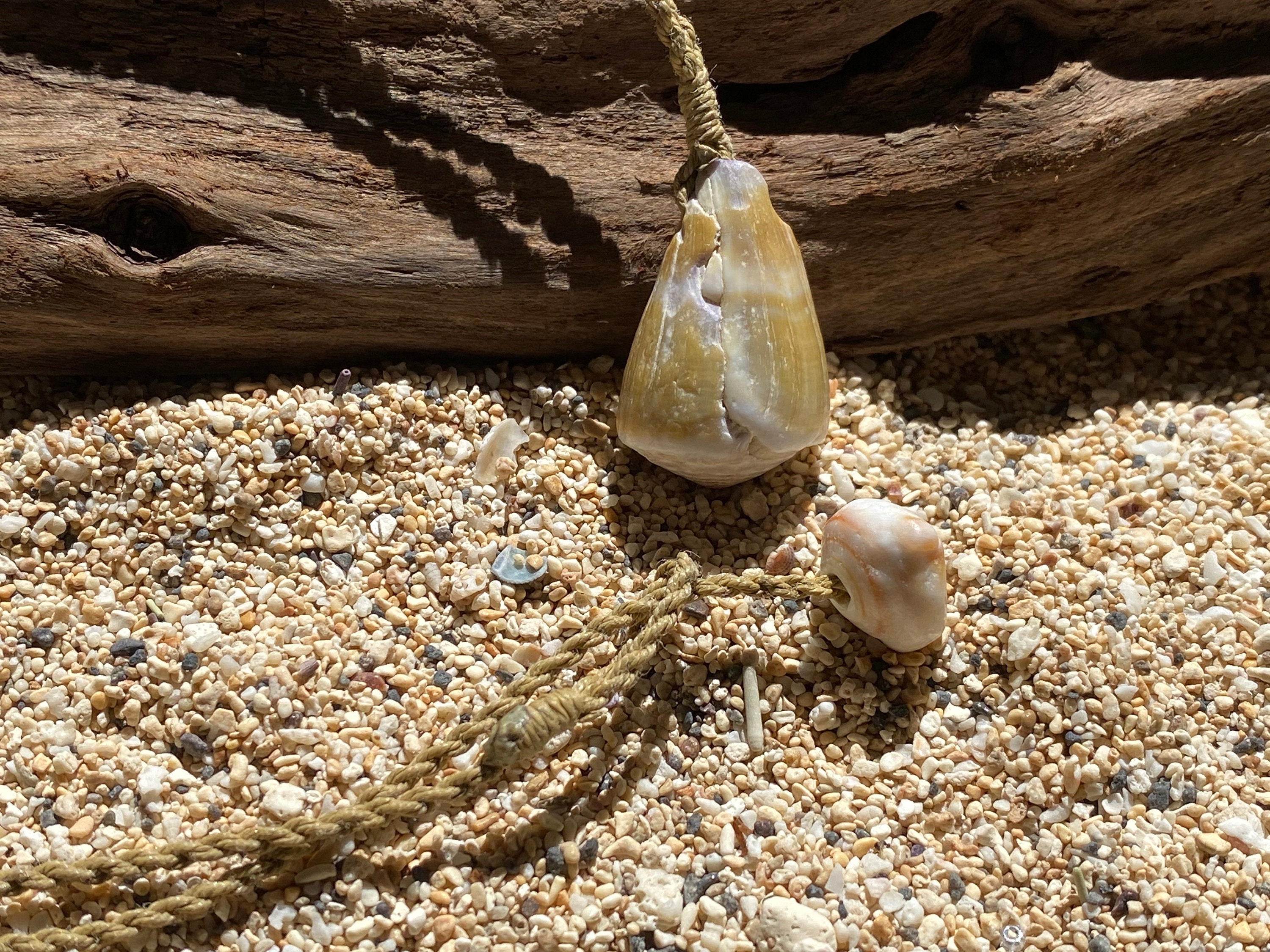 Surfer's Choice - Cone Shell Necklace - Etsy