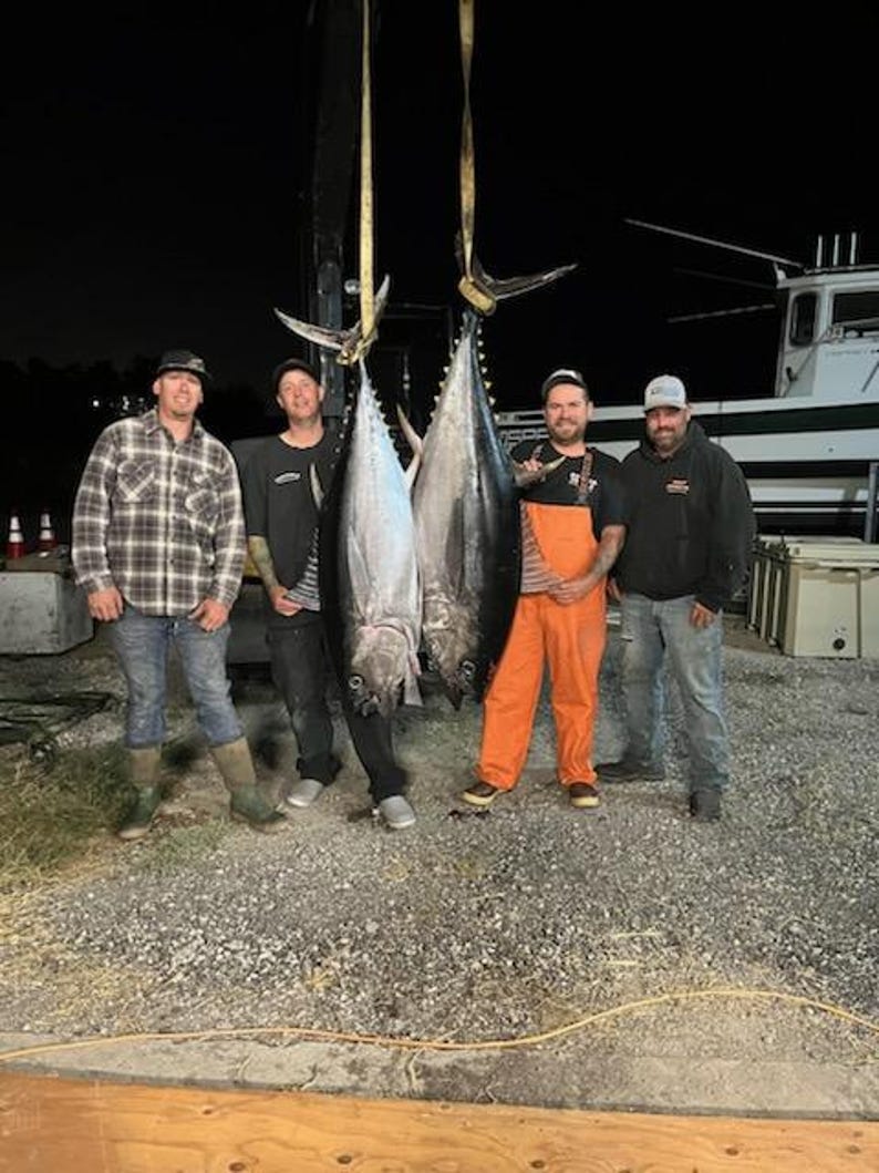 Tuna Spreader Bar - Etsy