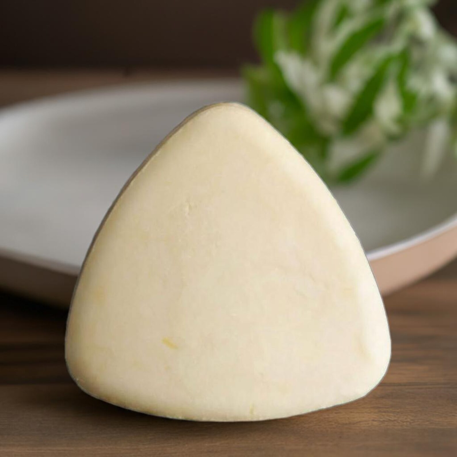 Vegan Solid Shampoo Bar: Natural Hair Care for Dry Scalp - Etsy