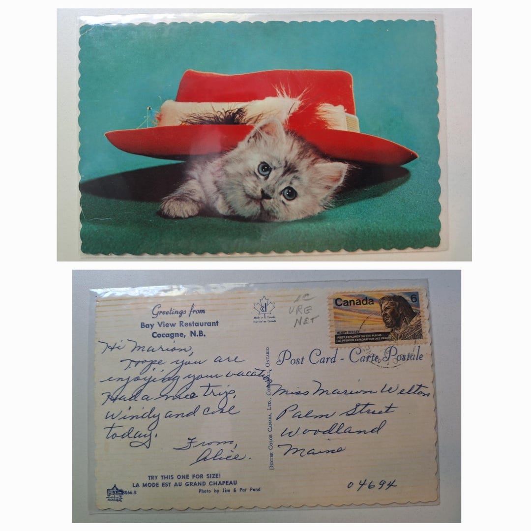 Vintage Postcards Cats Antique Postcard for Collection Unused Postcards ...