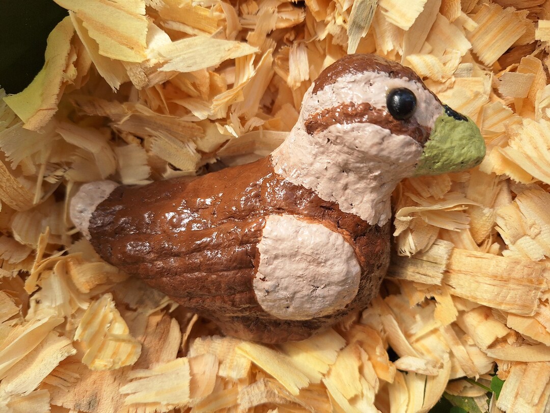 Duck Class Pet for School Desk Buddy for Teacher Talking Tool Small ...
