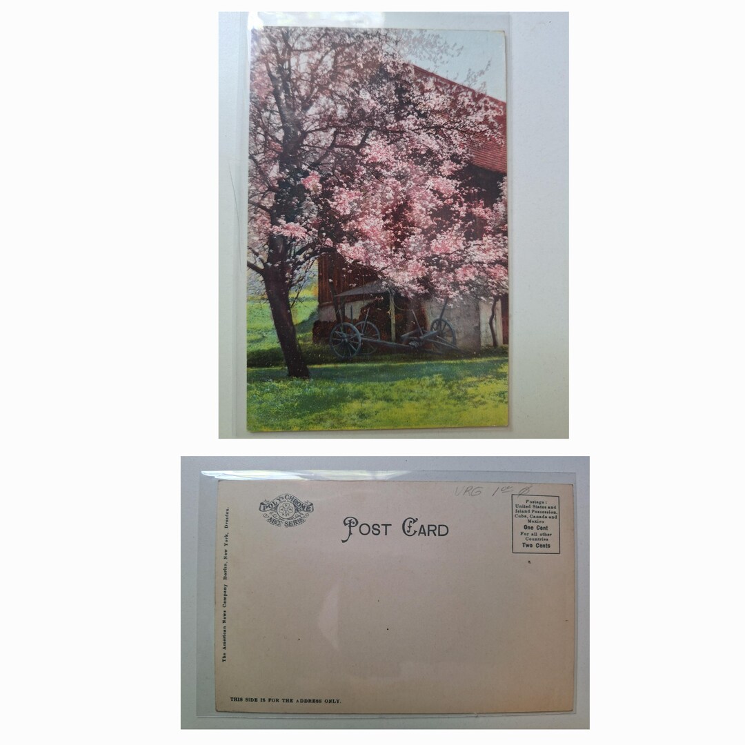 Vintage Postcards Scenic Antique Postcard for Collection Unused ...