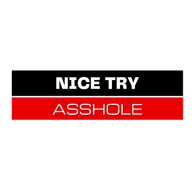 Nice Try Ahole Funny Bumper Sticker, Sarcastic Car Decal, Hilarious ...