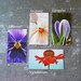 Floral Gift Card Set of 3 or More Flower Gift Tags Gift - Etsy
