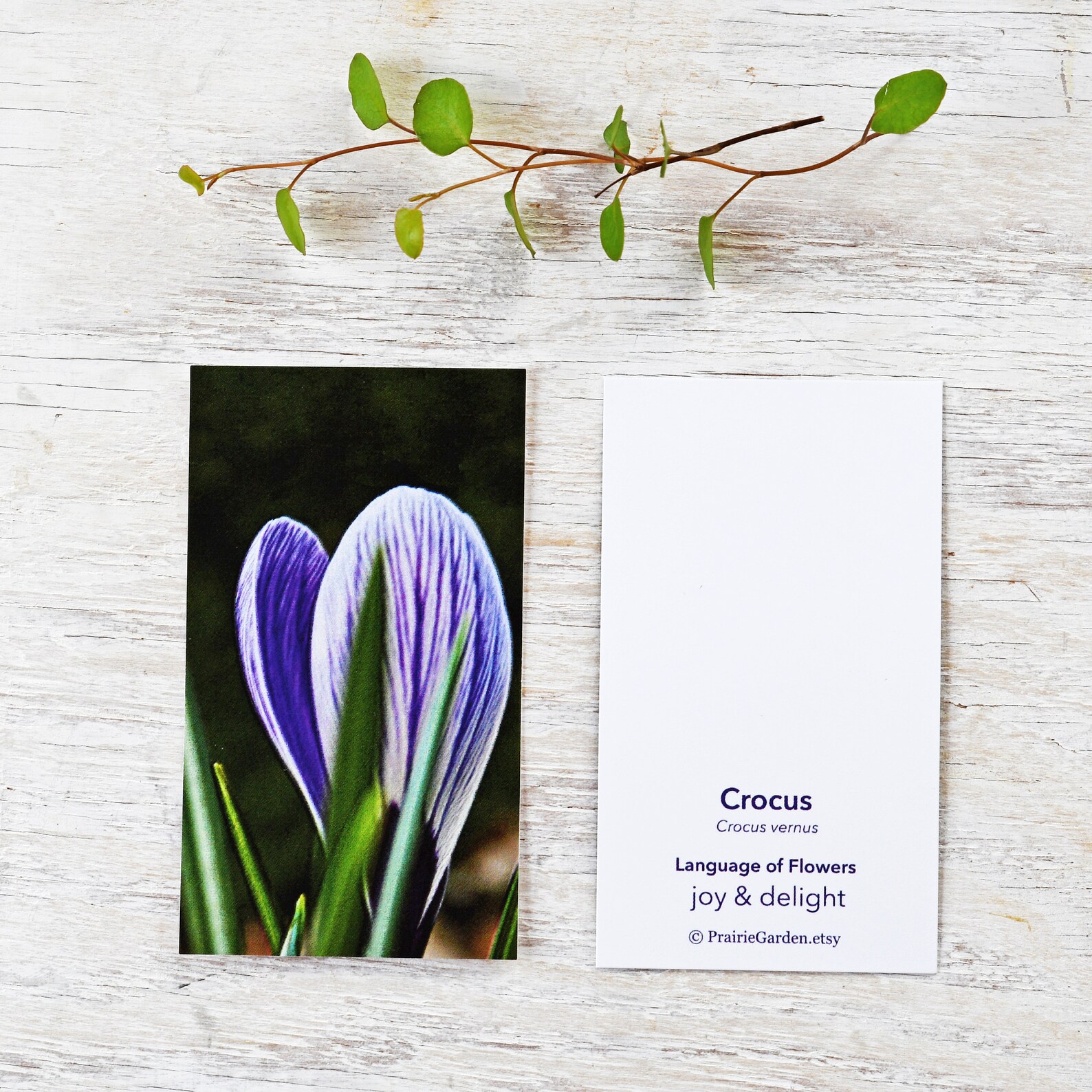 Floral Gift Card Set Flower Gift Tags Gift Tag Gift Tags - Etsy