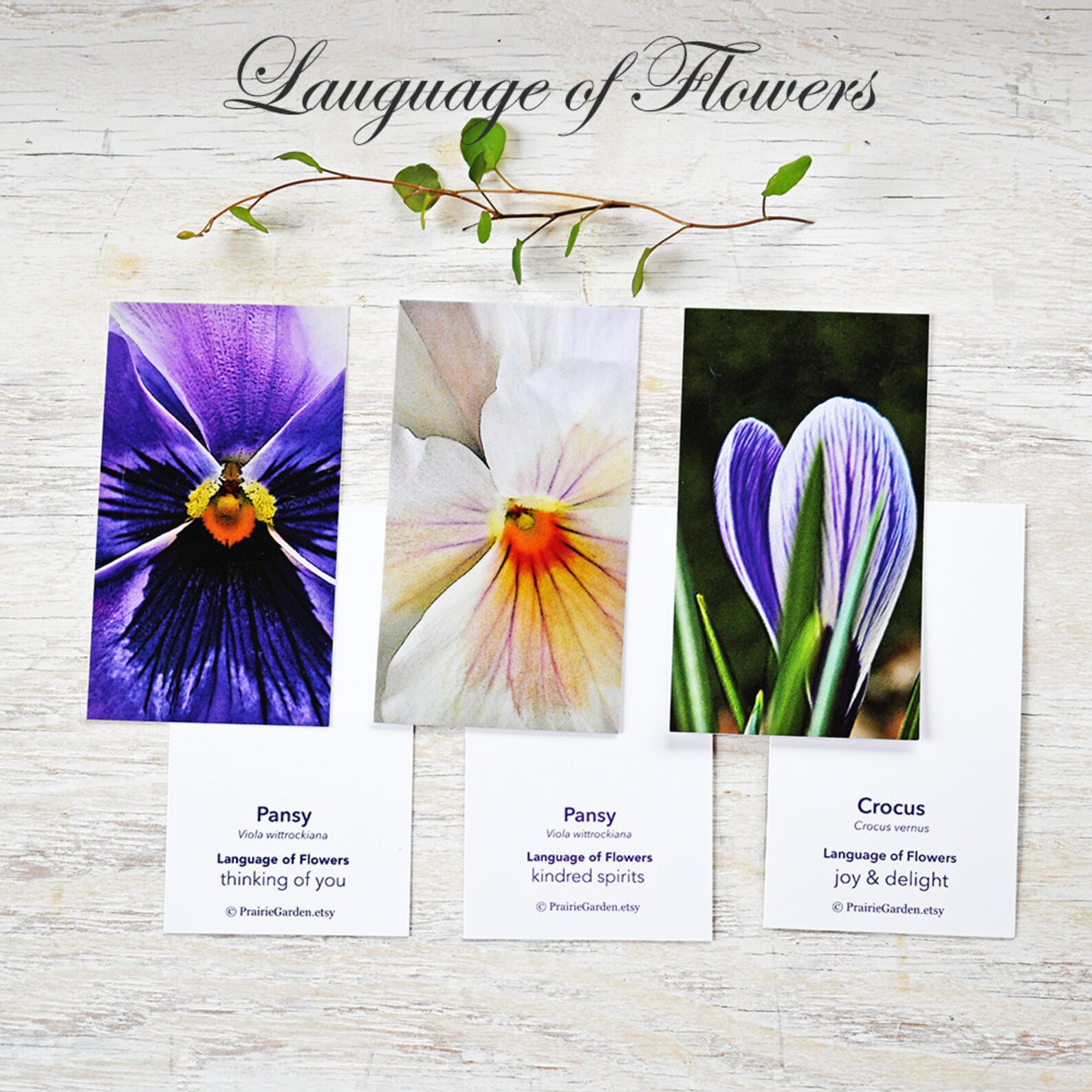 Floral Gift Card Set Flower Gift Tags Gift Tag Gift Tags - Etsy