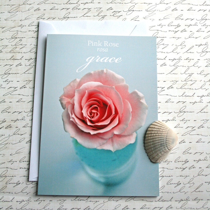 Pink Rose Language of Flowers Note Card // Nature Floral Plant Life ...