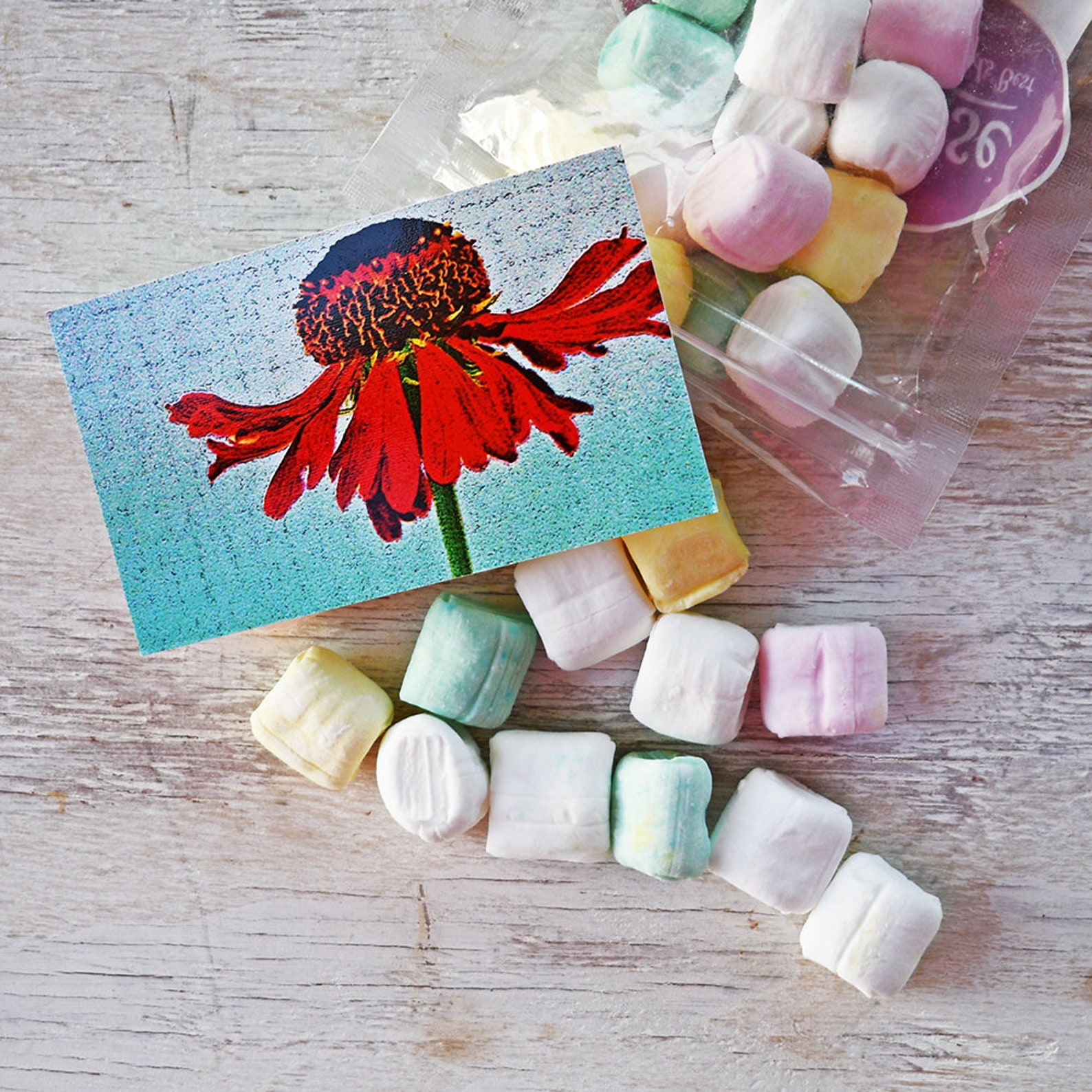 Floral Gift Card Set of 3 or More Flower Gift Tags Gift - Etsy