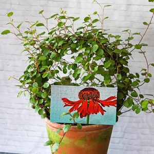 Floral Gift Card, Set of 3 or More, Flower Gift Tags, Gift Tag, Gift ...