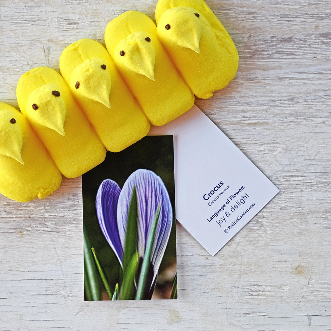 Floral Gift Card, Set, Flower Gift Tags, Gift Tag, Gift Tags, Botanical ...