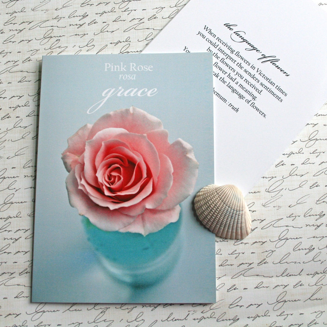 Pink Rose Language of Flowers Note Card // Nature Floral Plant Life ...