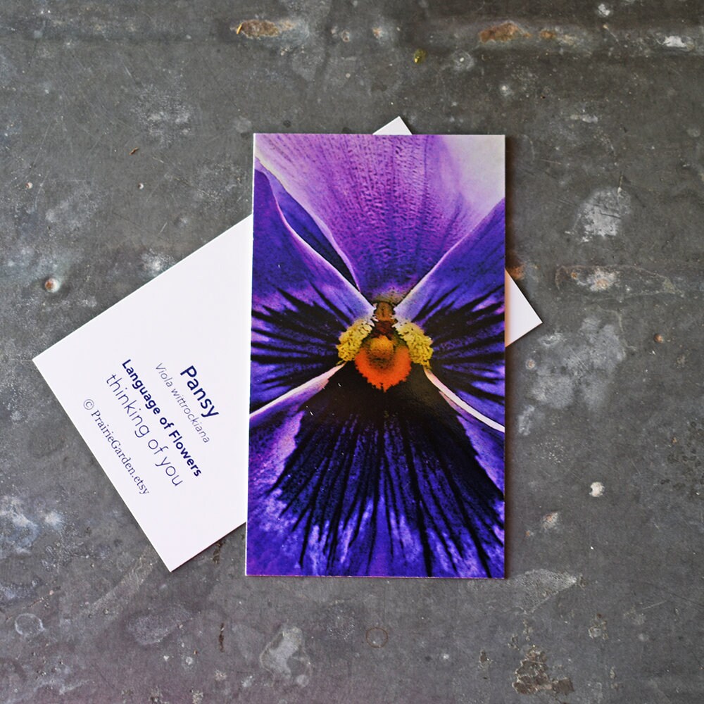 Floral gift card set flower gift tags gift tag gift tags | Etsy