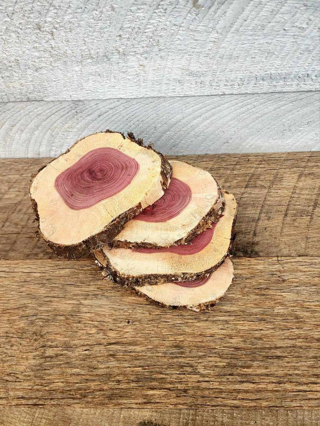 Cedar Cuts 4 Pack Bundle Unfinished, DIY, Home Decor, Projects ...