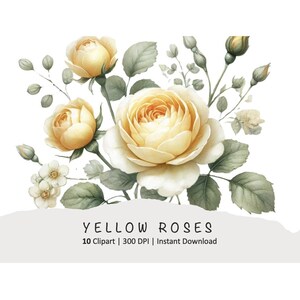 Yellow Roses Clipart Bundle - High Resolution 300 DPI Watercolor Floral ...