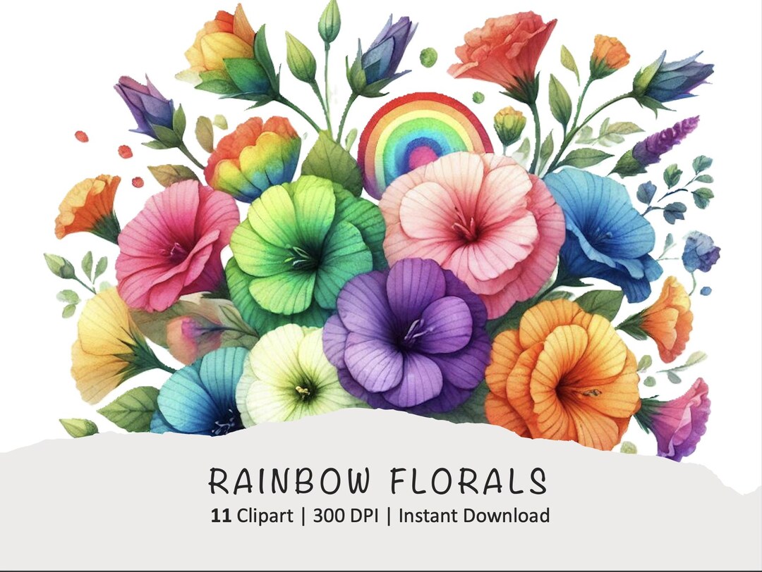 Rainbow Floral Clipart Bundle | High Resolution Digital Art | 300 DPI ...
