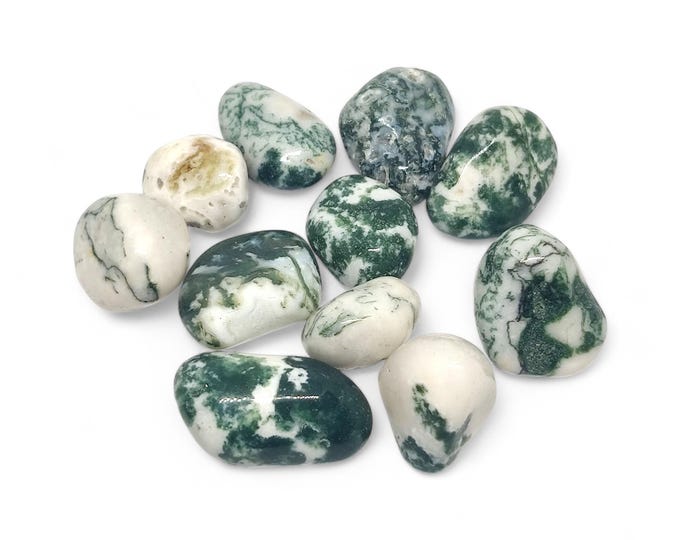 Tree Agate Tumbled Stone - Etsy