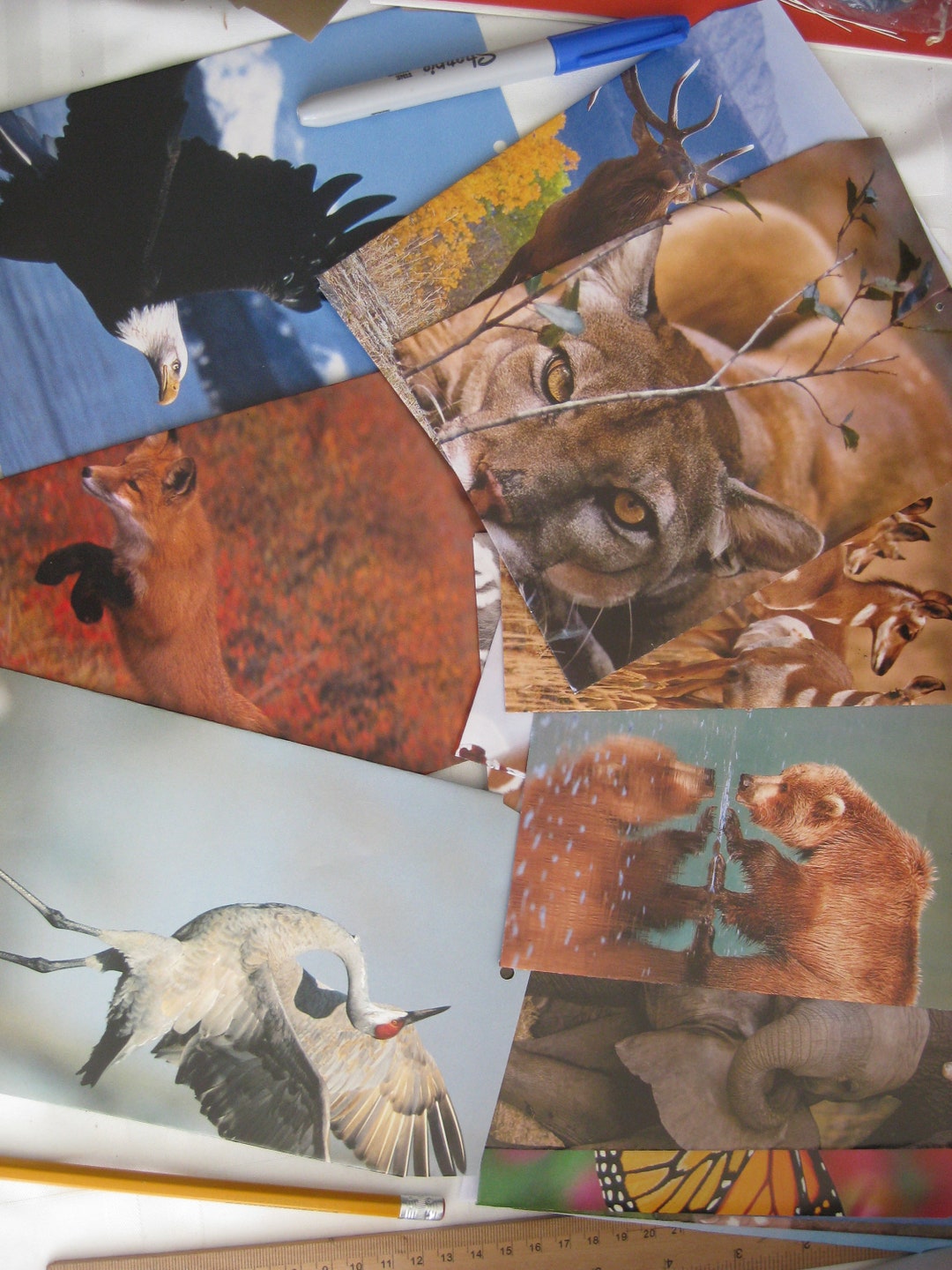 Wild Animals Envelopes Hand Made From Calendar Pages, 6.5" X 5", 10 ...