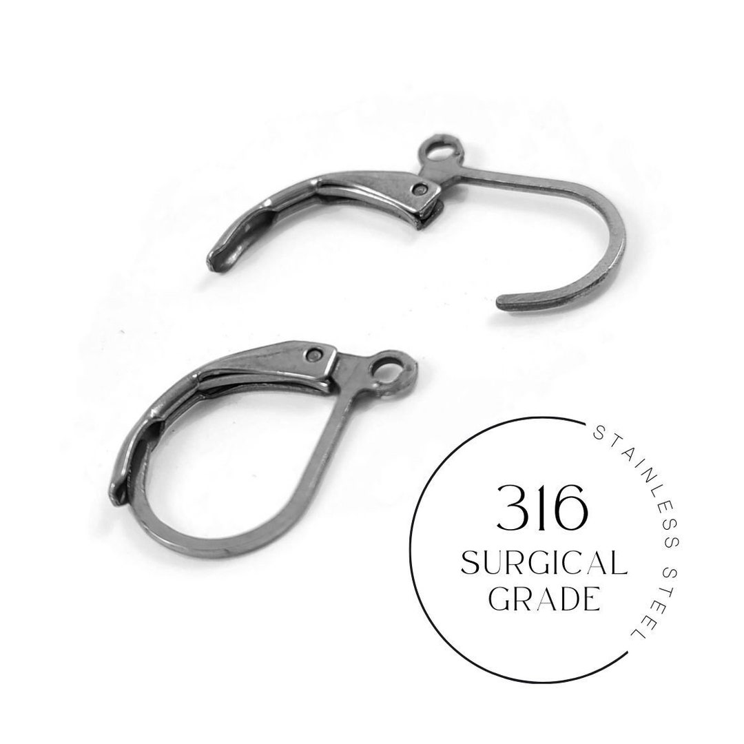 Surgical Steel Lever Back Hooks, Hypoallergenic Earring Making Findings ...